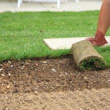 Gazon en rouleaux | Les gazons parisiens